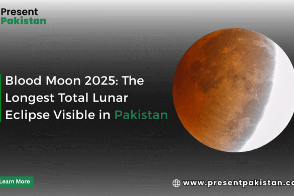 Jessica Dolphin Viral Video: Truth Exposed