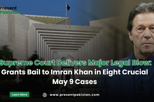 Jessica Dolphin Viral Video: Truth Exposed